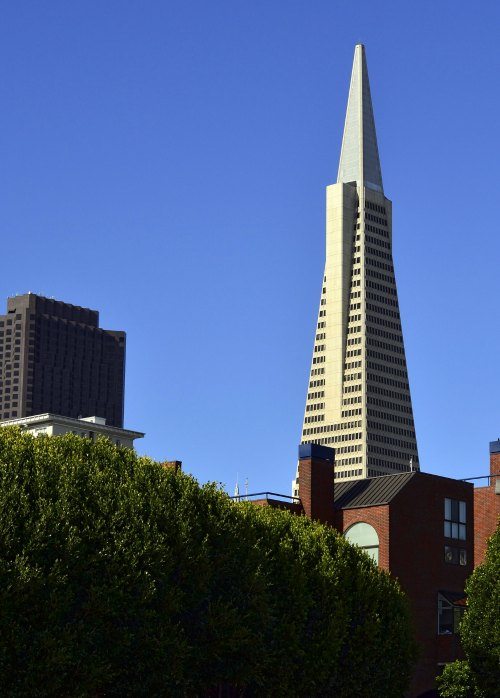 Transamerica and Marcan Insurance [Crazy Low Rates]